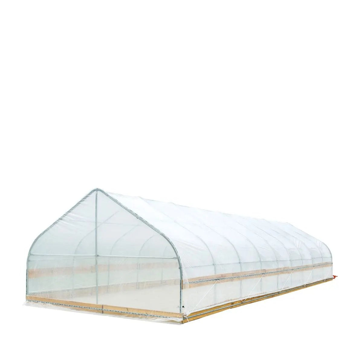 TMG 3.7 x 12 m Tunnel Greenhouse Tent with 6 Mil EVA Film, Roll-Up ...